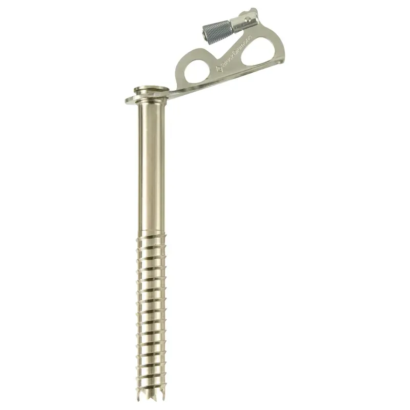 Black Diamond Express 19cm Ice Screw in Gold